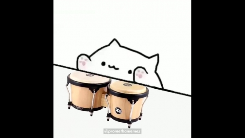 Bongo Cat Pack #1 2026 | Anime WebM | ВКонтакте